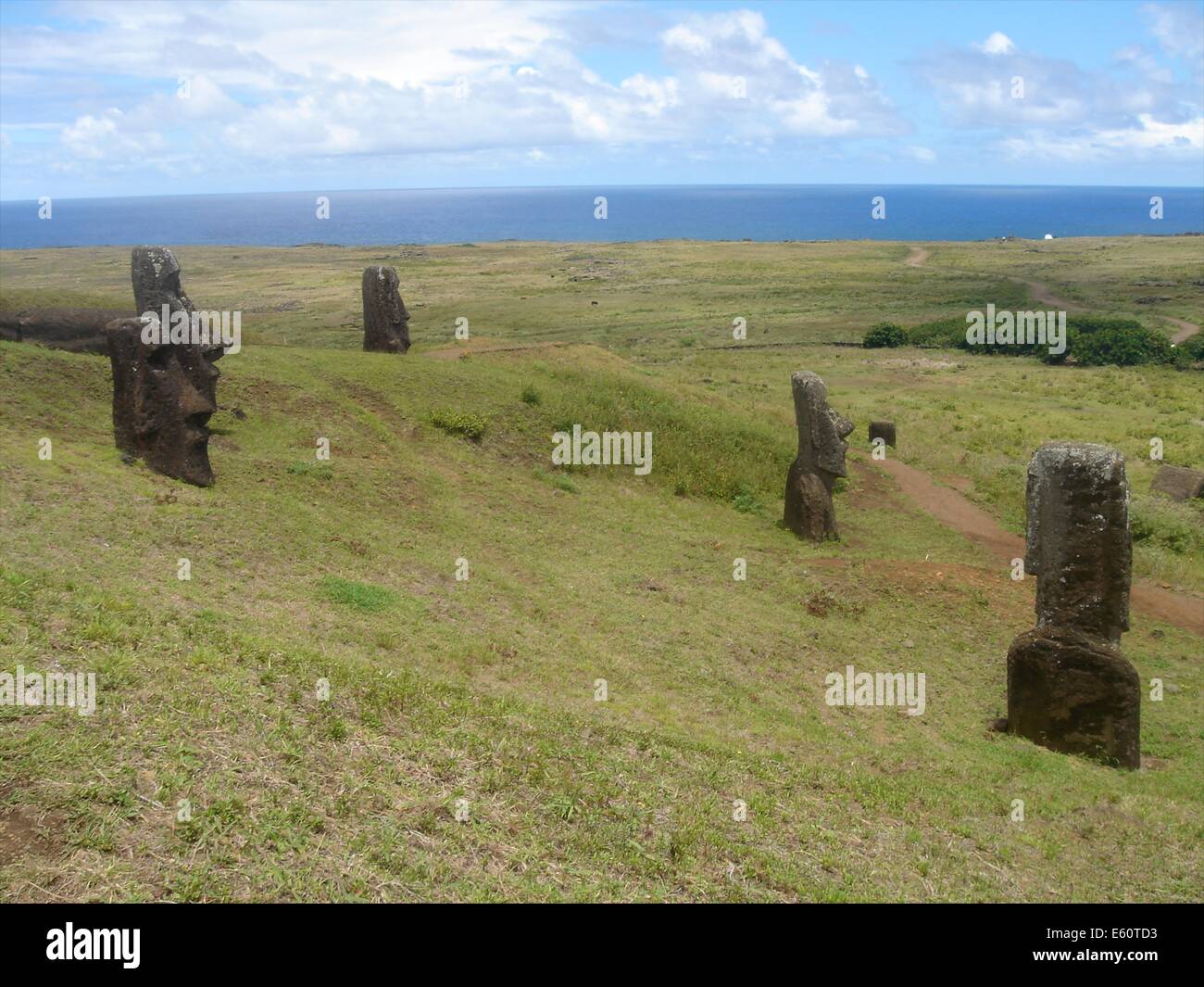 Moai statues in the quarry area of Rano Raraku, an extinct volcano on ...