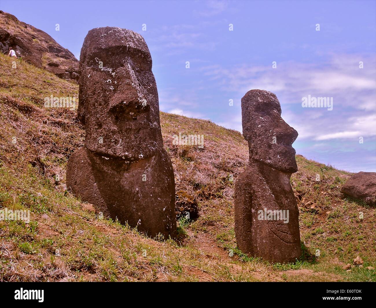 Moai statues in the quarry area of Rano Raraku, an extinct volcano on ...