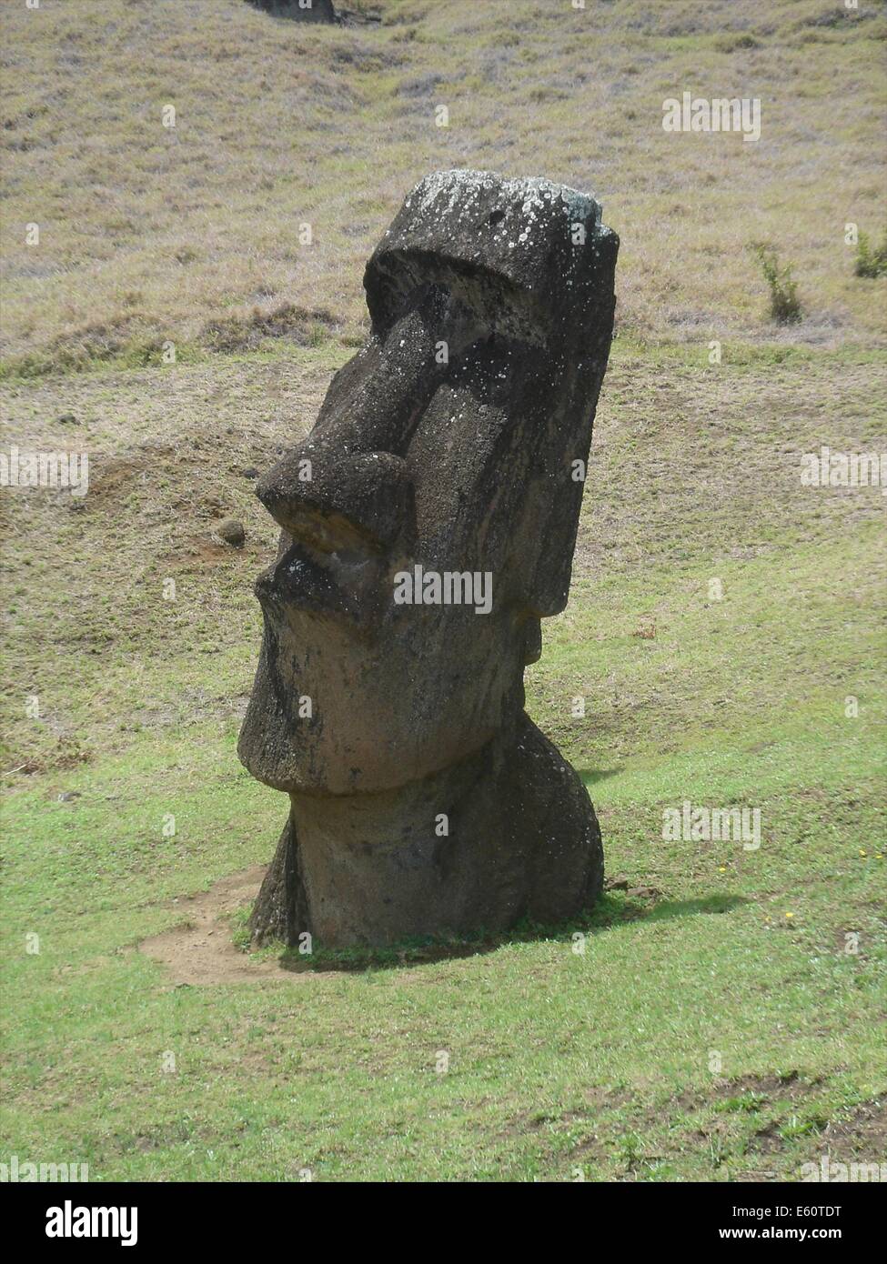 Moai statues in the quarry area of Rano Raraku, an extinct volcano on ...