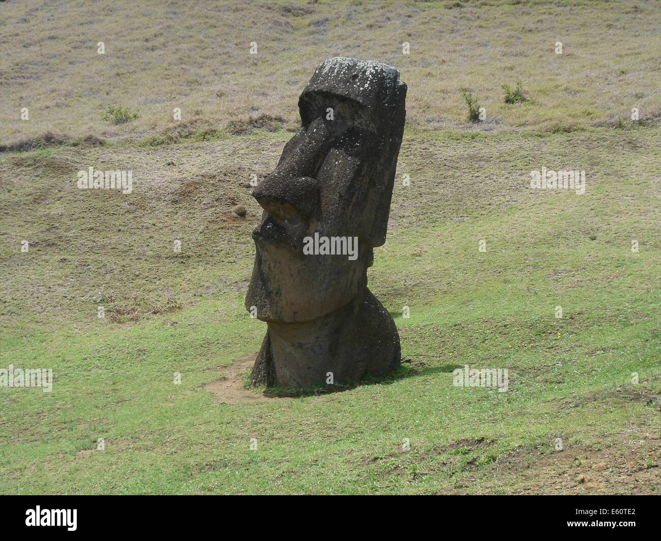 Moai statues in the quarry area of Rano Raraku, an extinct volcano on ...
