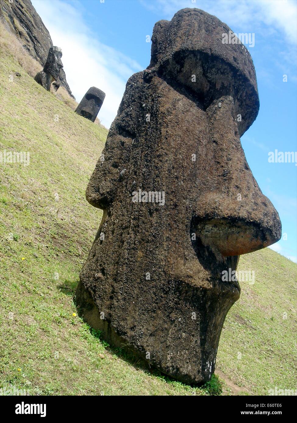 Moai statues in the quarry area of Rano Raraku, an extinct volcano on ...