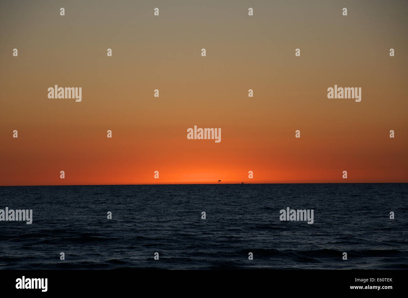 Sunrise lake michigan hi-res stock photography and images - Alamy