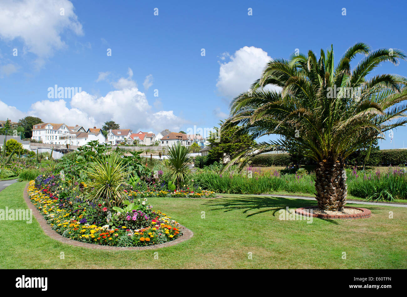 Queen Mary gardens, Falmouth, Cornwall, UK Stock Photo - Alamy