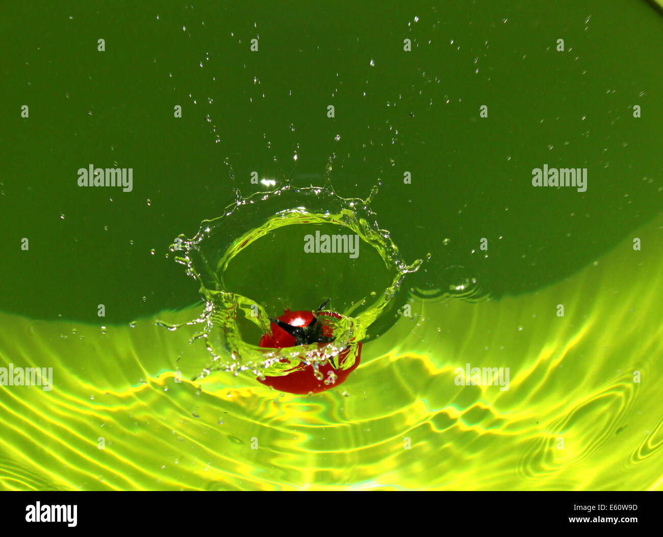 Tomato dropping into bowl of water Stock Photo - Alamy
