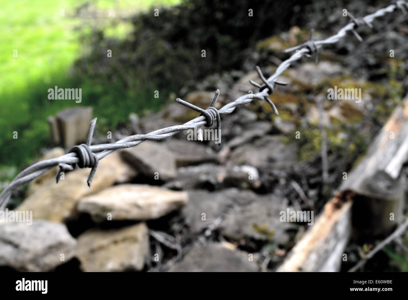 Spiky barbed wire fencing hi-res stock photography and images - Alamy