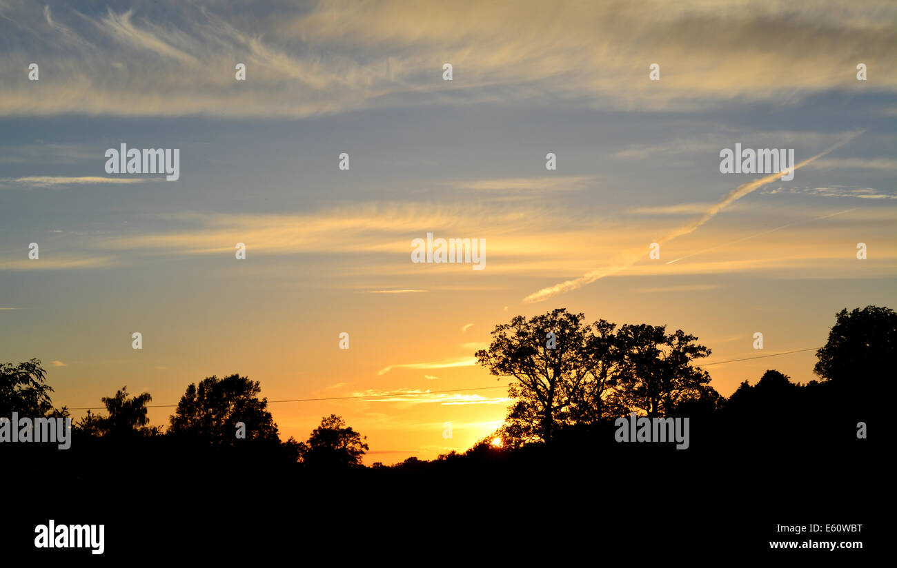 Treeline silhouette hi-res stock photography and images - Alamy