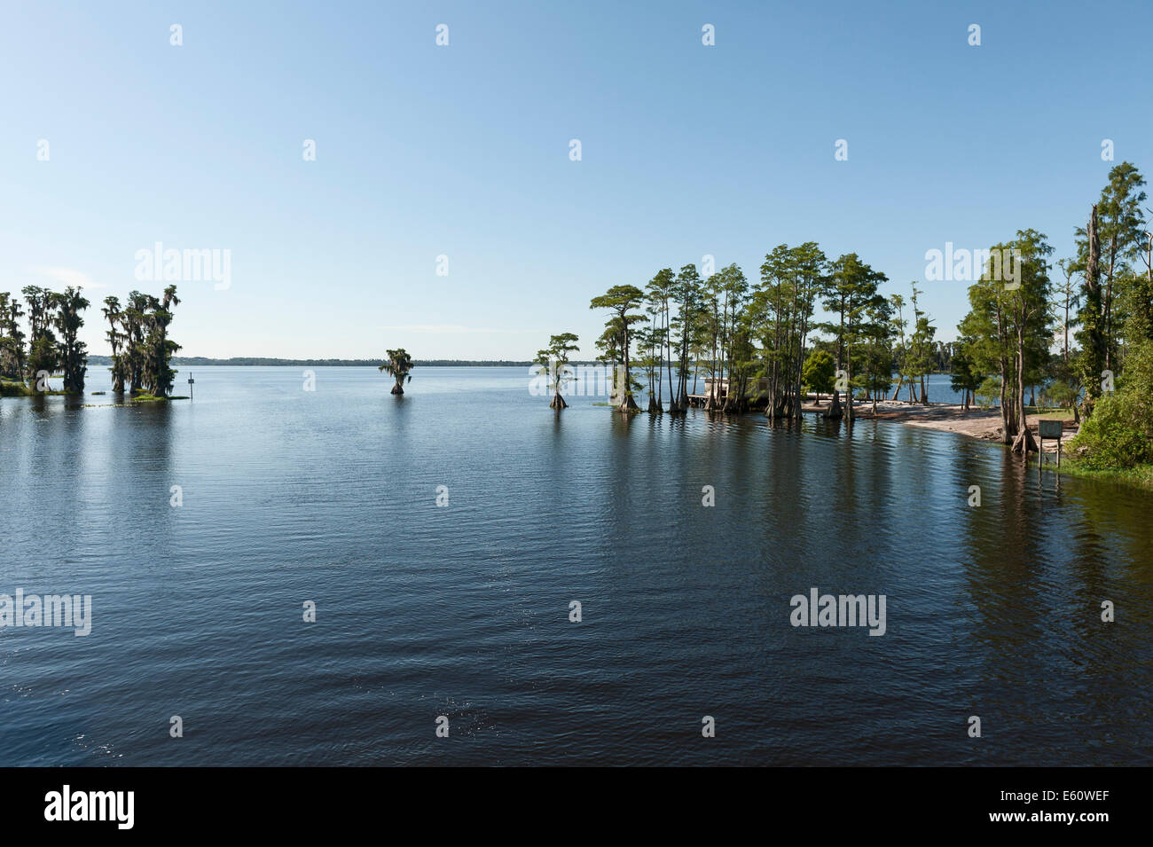 Cypress tree lake hi-res stock photography and images - Alamy
