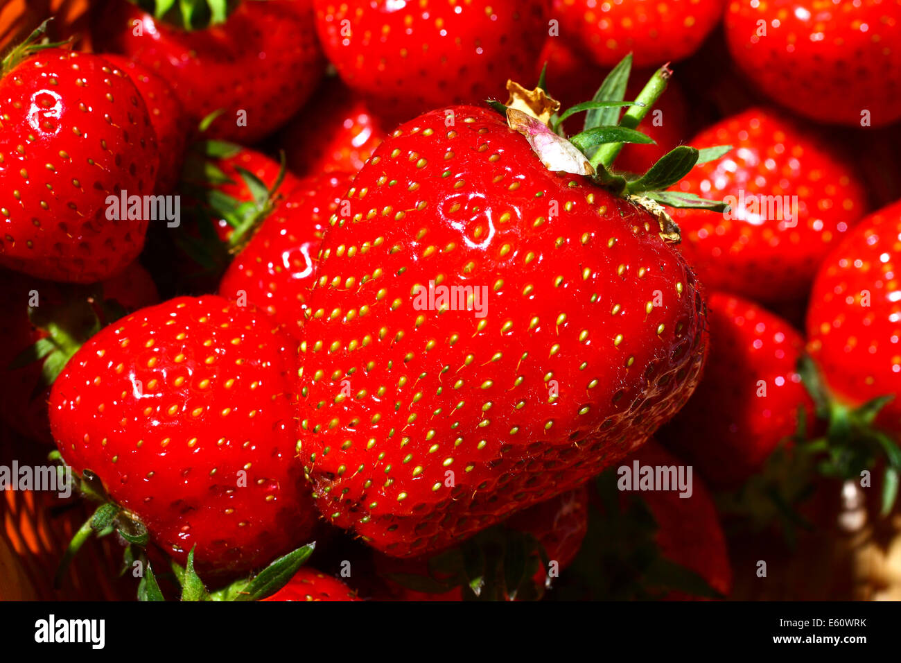 Close up of strawberries Stock Photo - Alamy