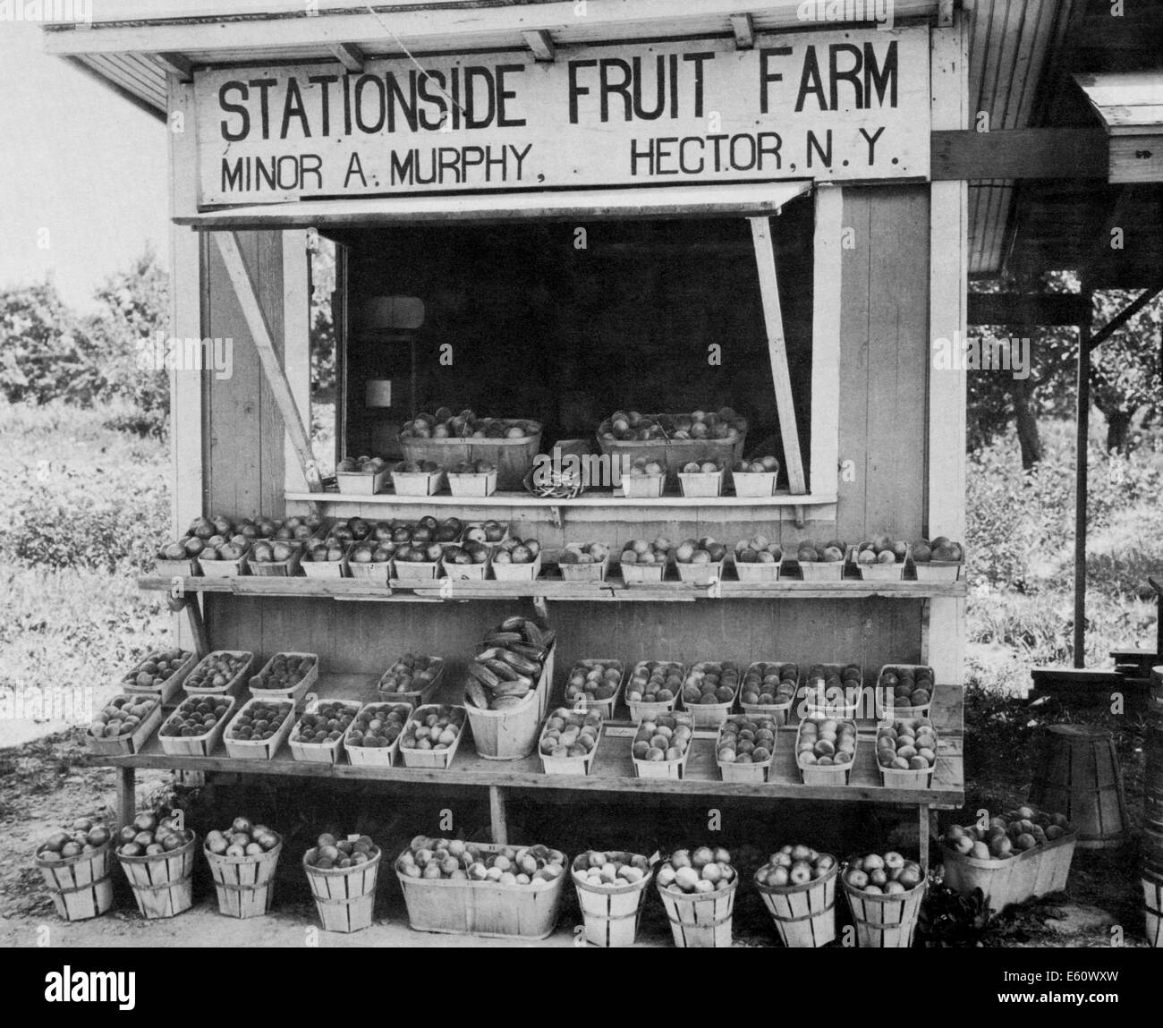 Usa 1950 family hi-res stock photography and images - Alamy