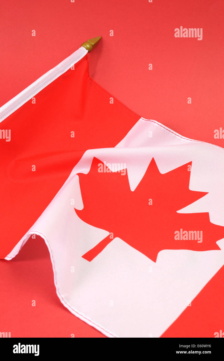 Striped maple hi-res stock photography and images - Alamy