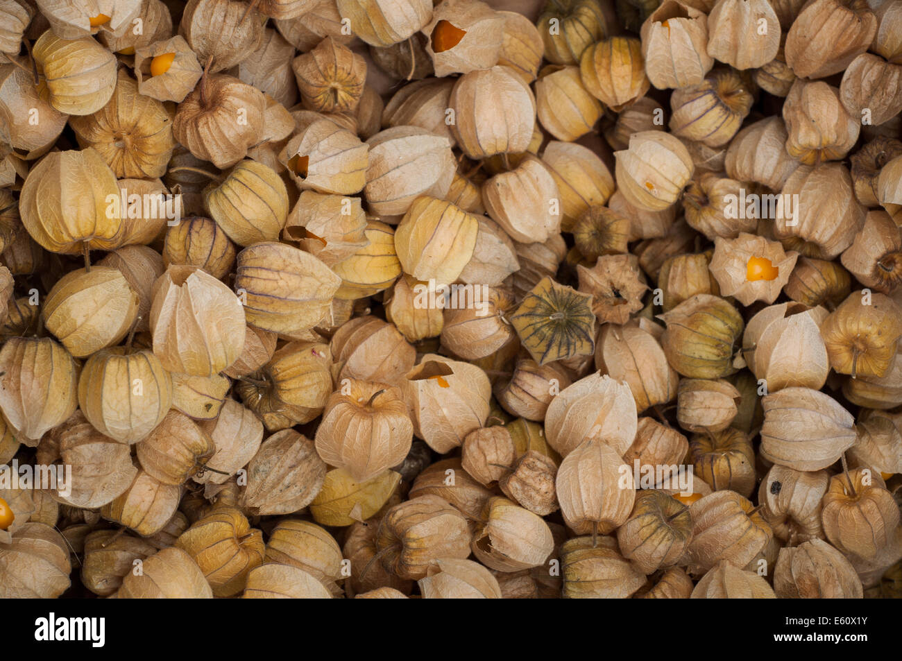 365project hi-res stock photography and images - Alamy