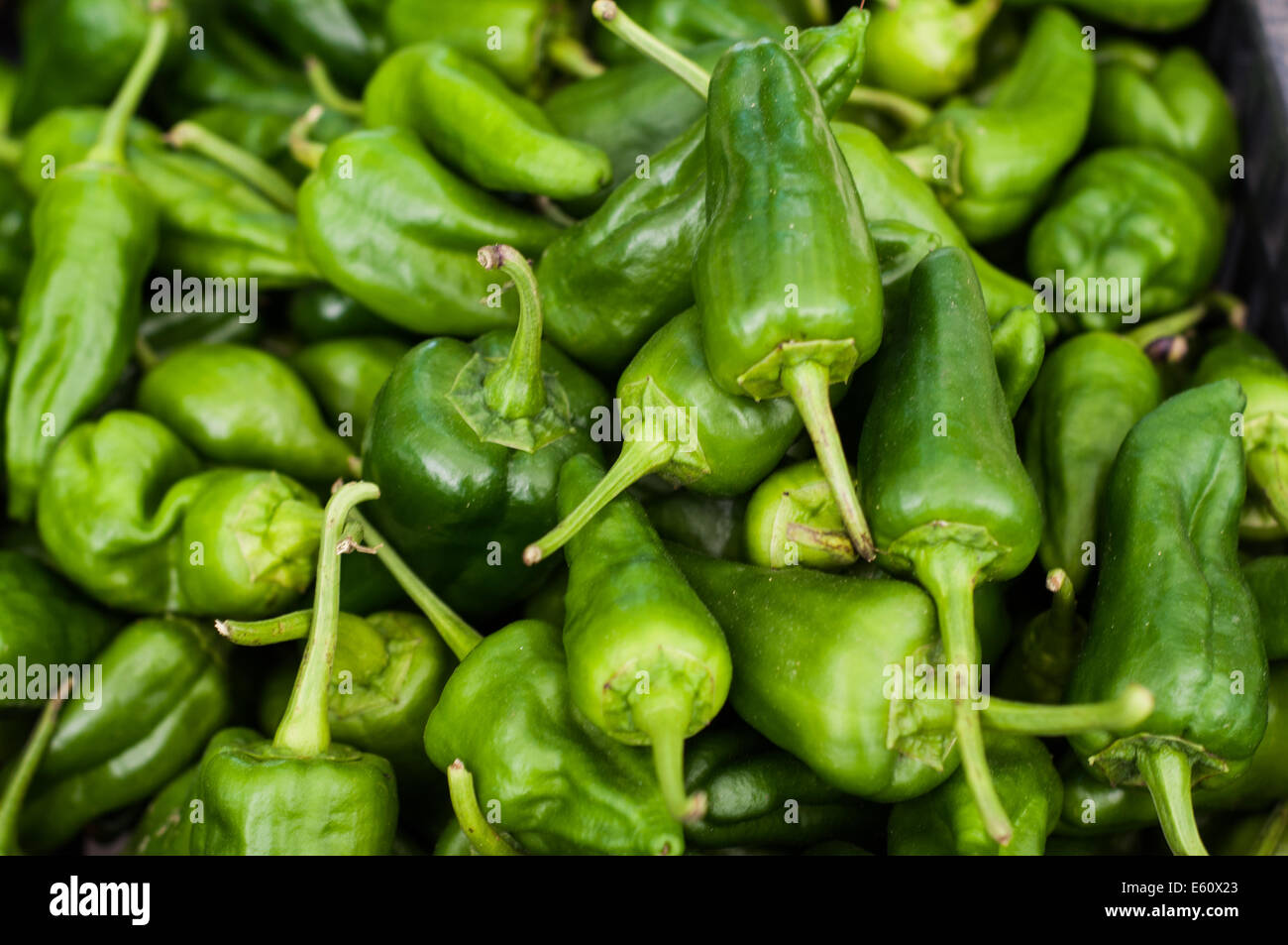 Pimento peppers hi-res stock photography and images - Alamy