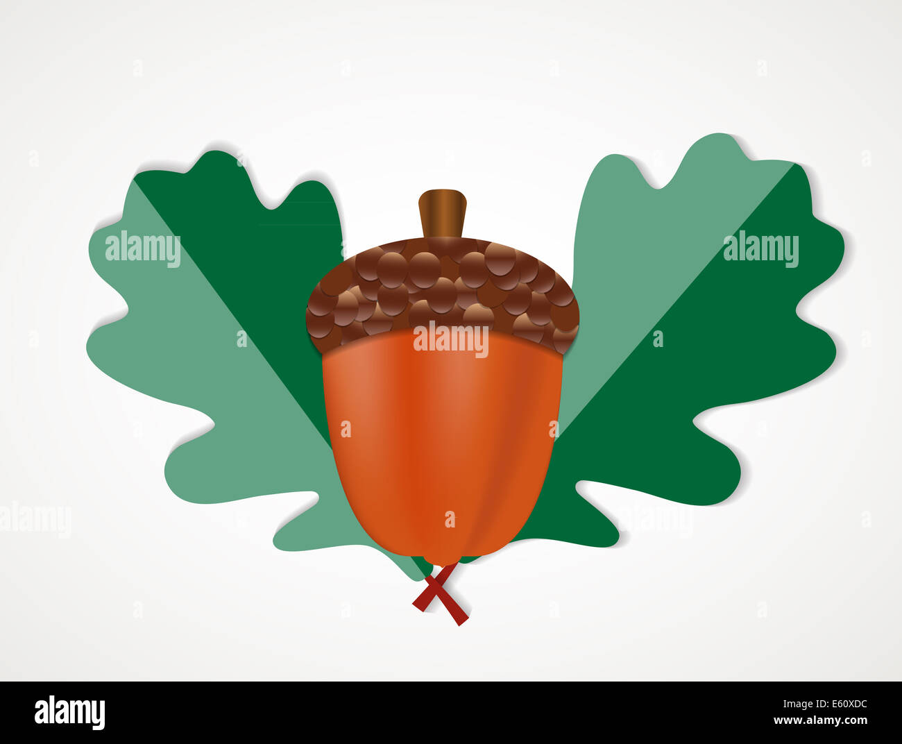 Acorn with Leaves Vector Autumn Illustration Stock Photo - Alamy