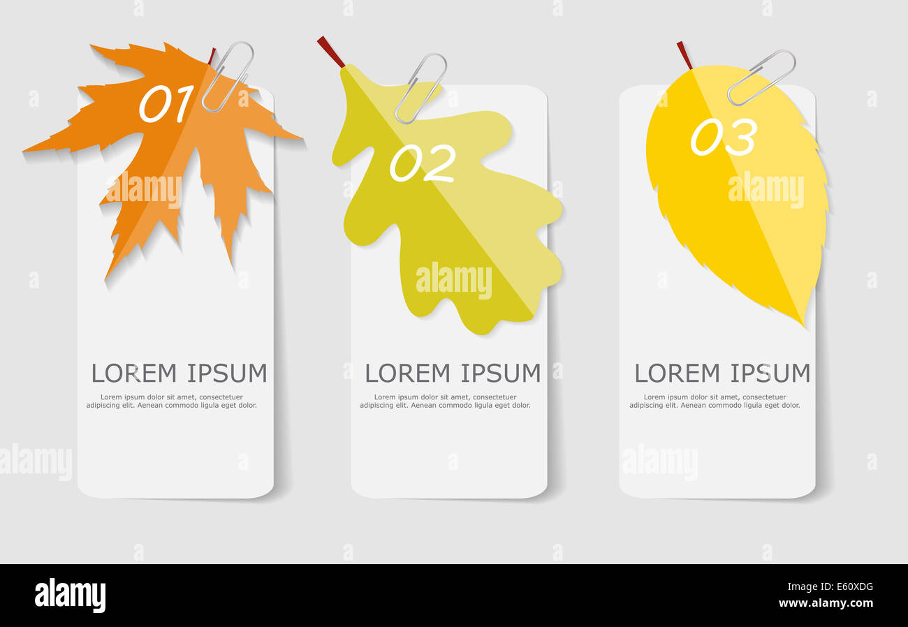Autumn Leaves Infographic Templates for Business Vector Illustra Stock ...