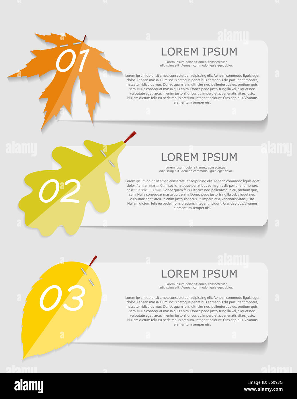 Autumn Leaves Infographic Templates for Business Vector Illustra Stock ...