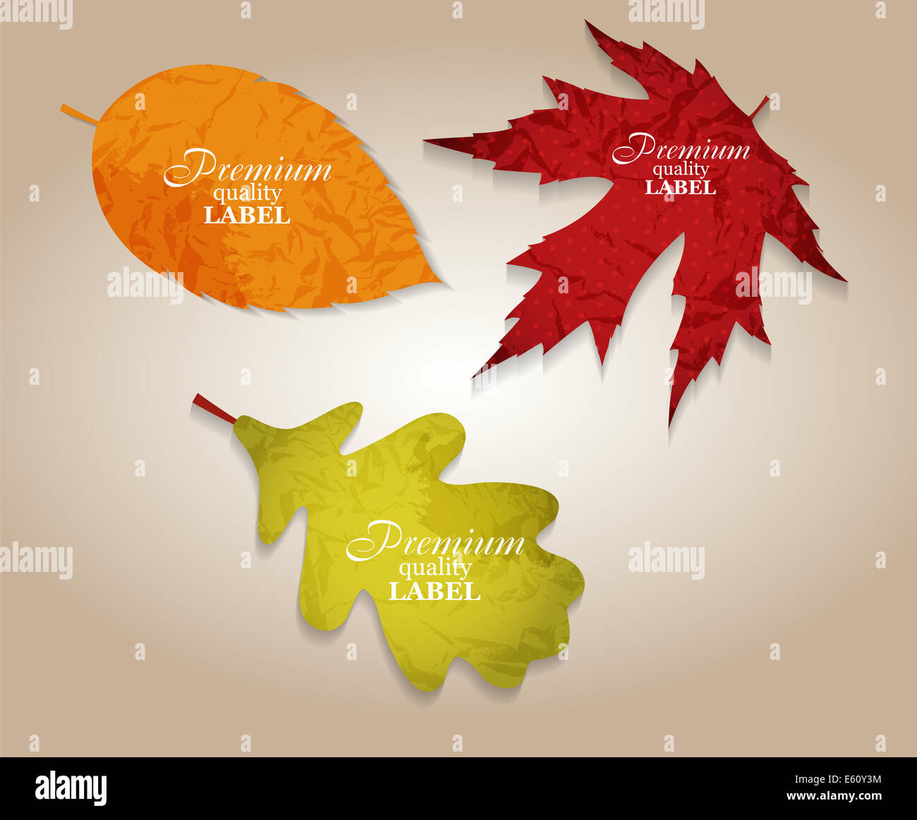 Autumn Leaves Labels Vector Illustration Stock Photo - Alamy