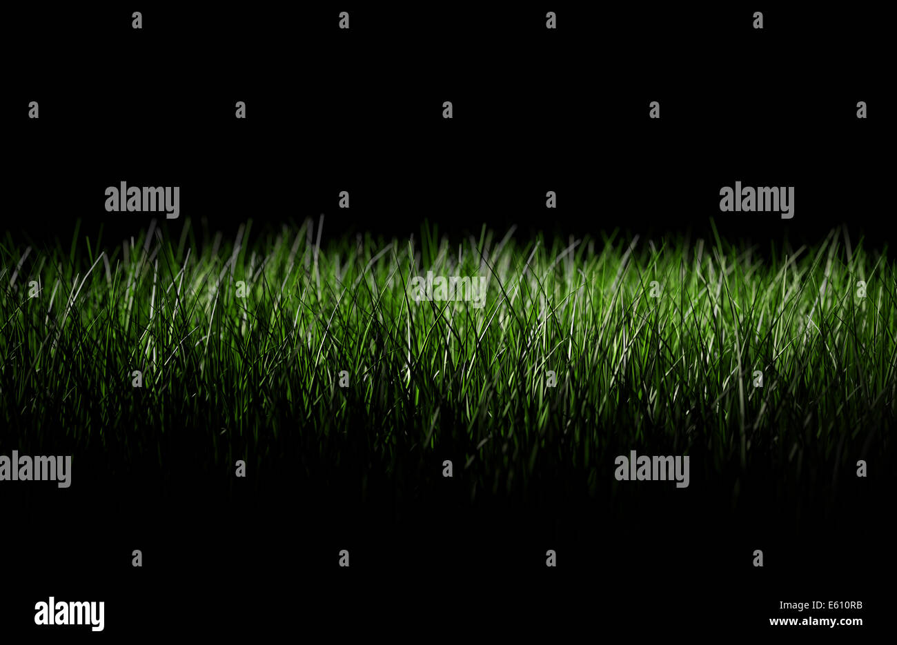 A grassy lawn seen at night, black background Stock Photo - Alamy