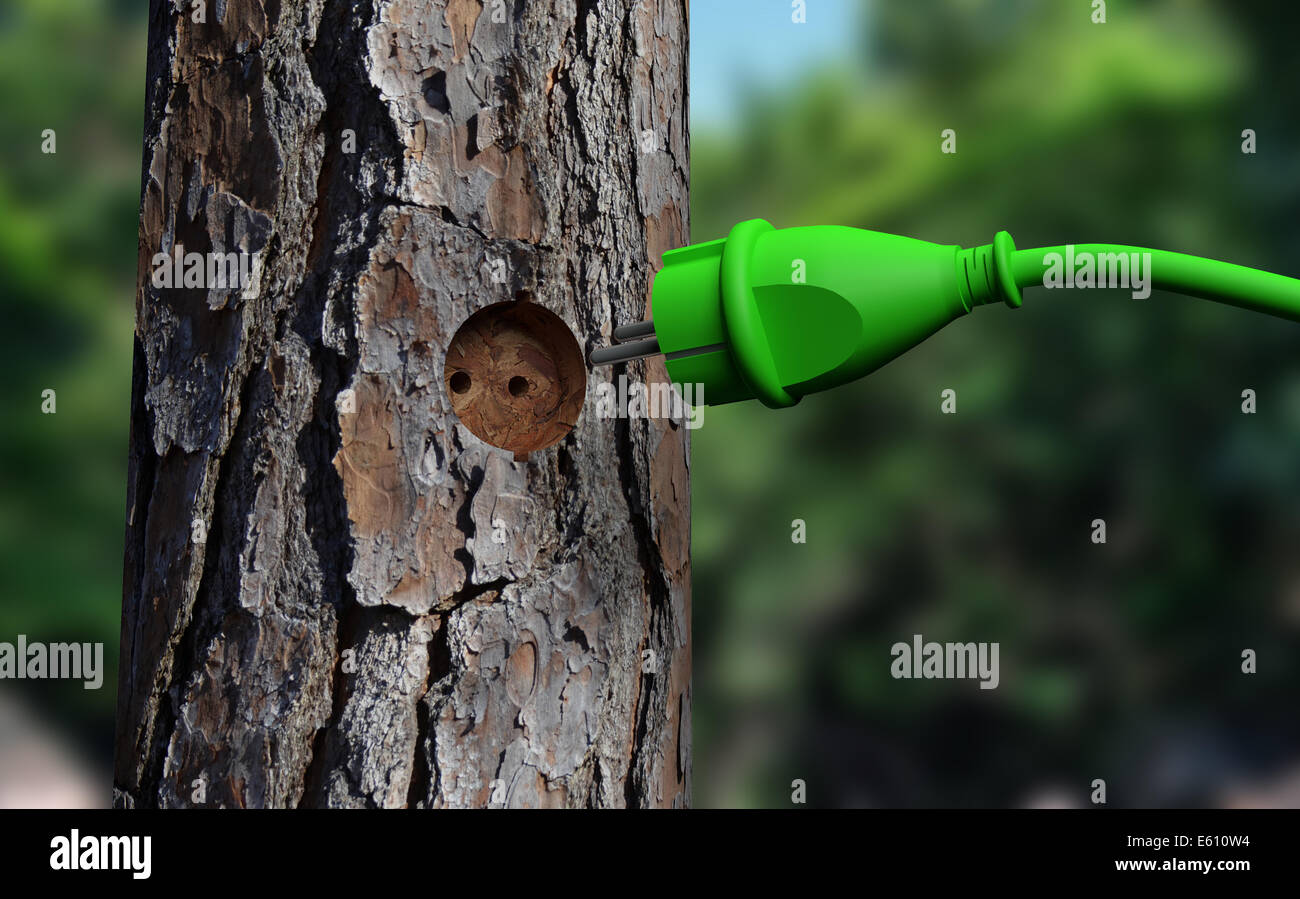 A green power outlet stands for connecting to a tree Stock Photo - Alamy