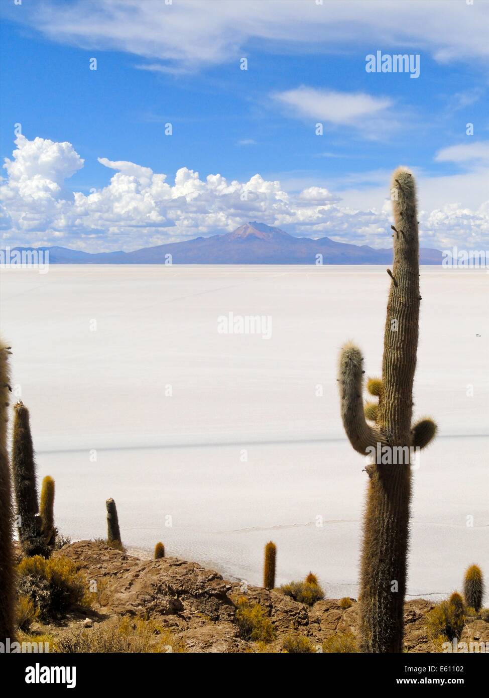 View from Isla Incahuasi of Tunupa Volcano across the Salar de Uyuni ...