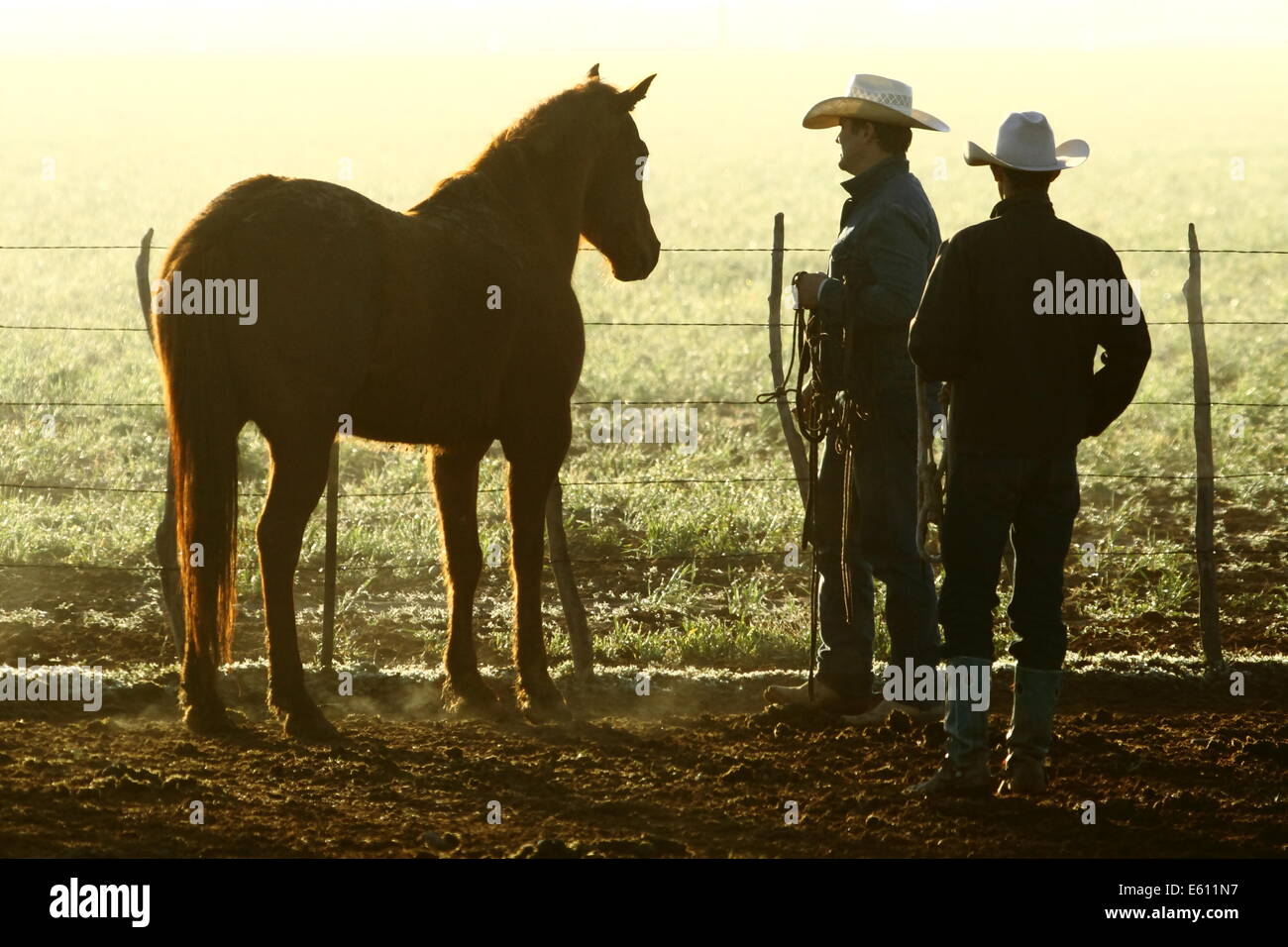 Texas cowboys hi-res stock photography and images - Alamy