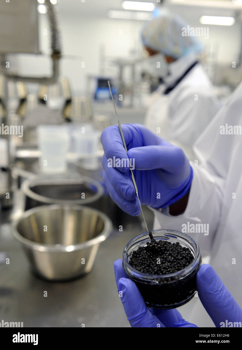 Loxstedt, Germany. 29th July, 2014. An employee of Vivace Correct ...