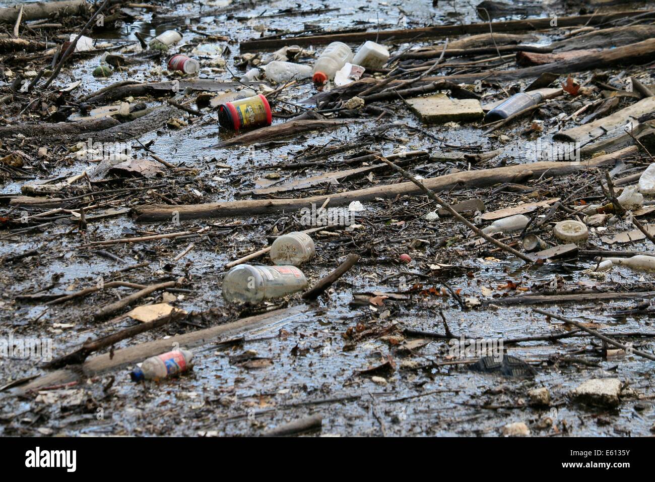 Debris and trash floating in the Des Plaines River. Thatcher Woods ...