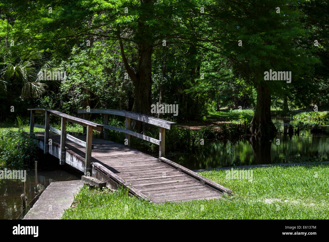 A low wooden bridge crosses a picturesque pond lined by Cypress trees ...