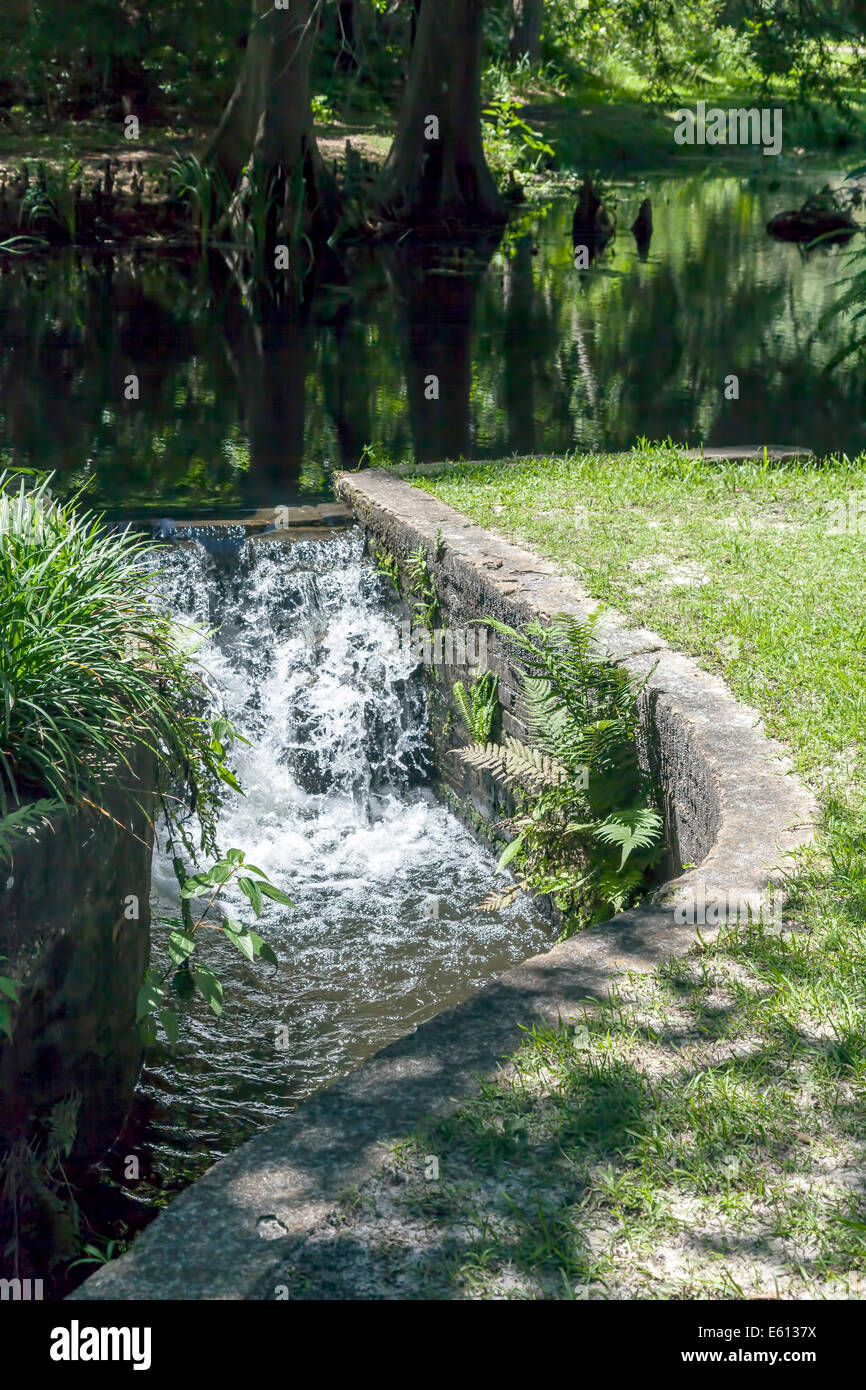 Water from a pond cascades over a small dam and into a rock lined ...