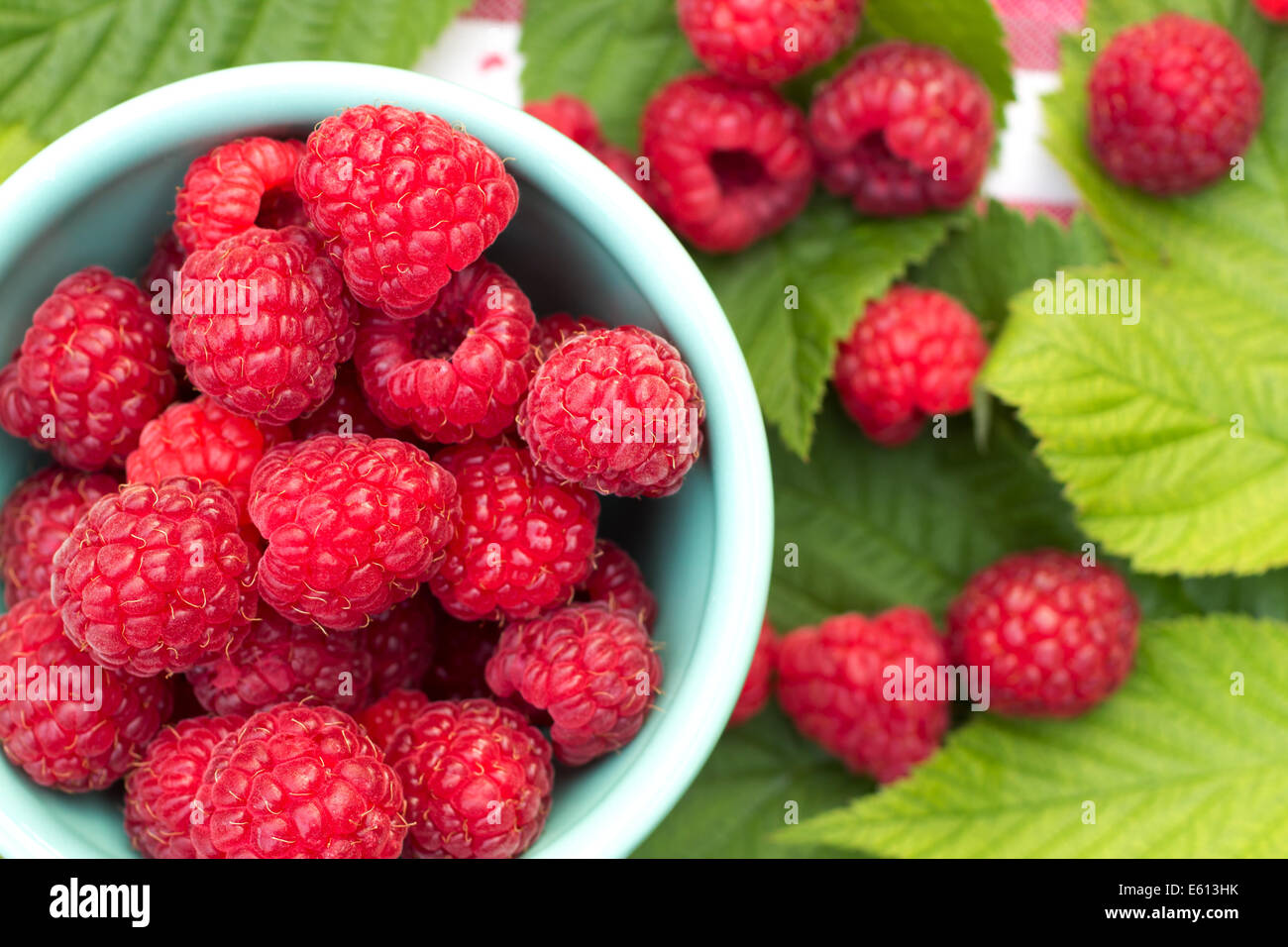 Sweet Organic Raspberries in a Blue Ceramic Bowl Stock Photo - Alamy