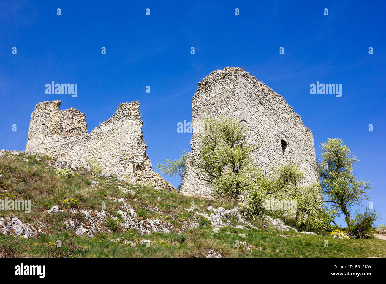 The ruins of Sirotčí Hrádek castle, Palava Protected Landscape Area ...