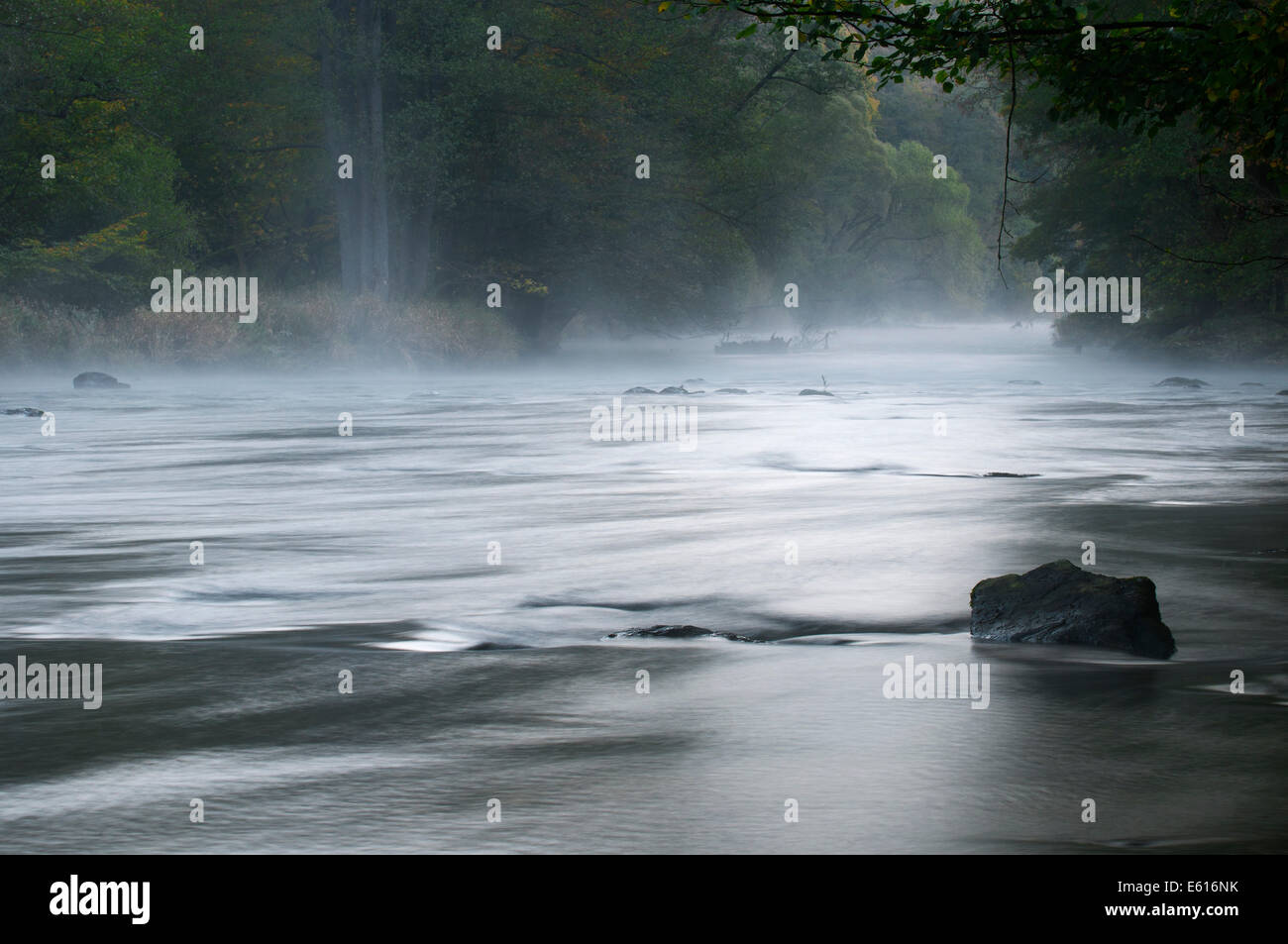 Morning mist over the Thaya River, Thaya Valley National Park ...