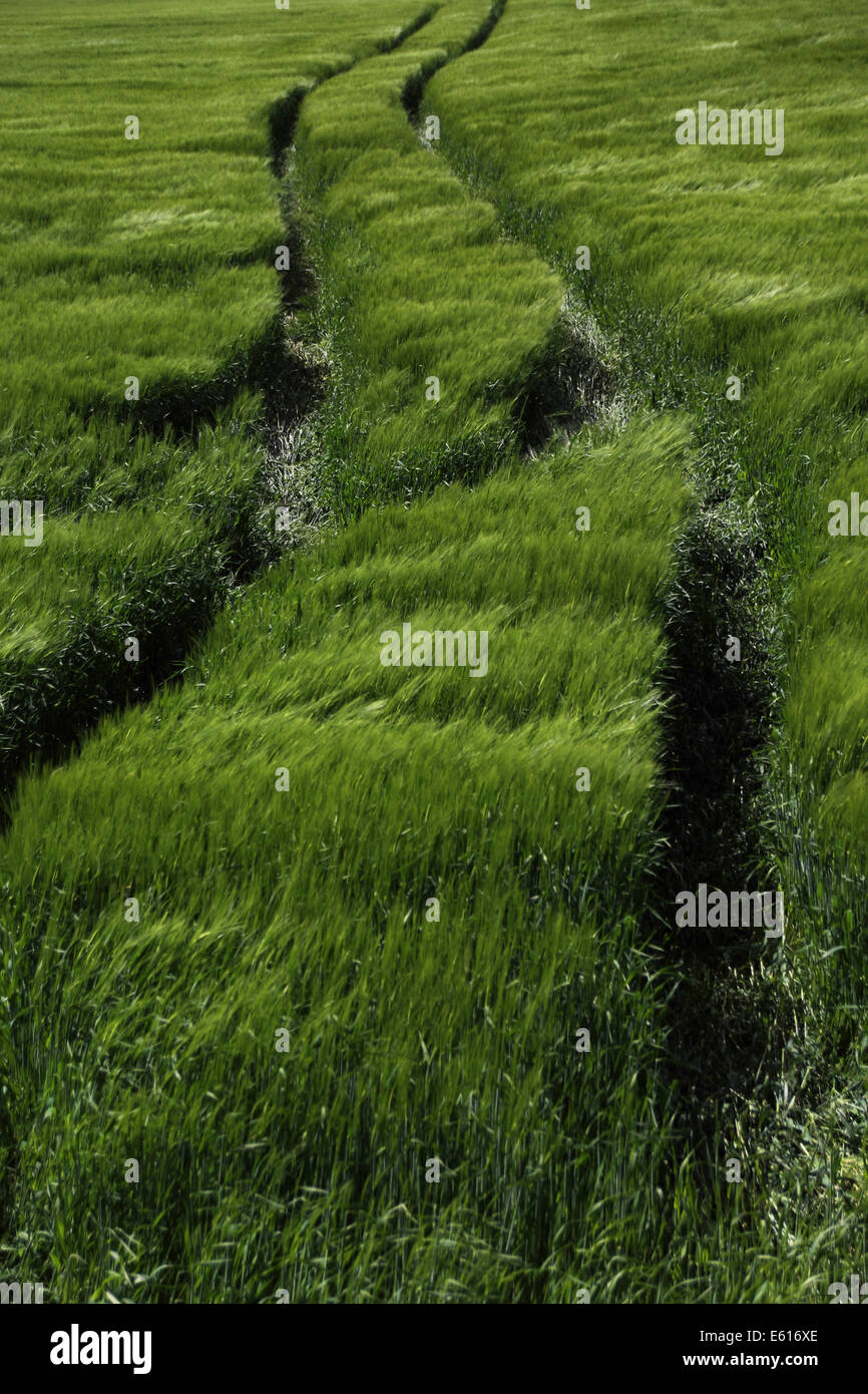 Tracks on field hi-res stock photography and images - Alamy