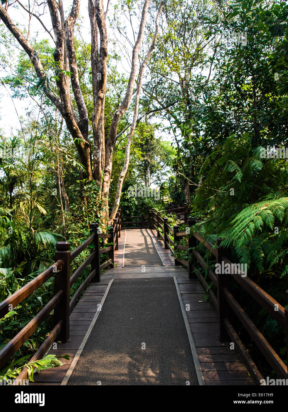 Wooden path in tropical hi-res stock photography and images - Alamy