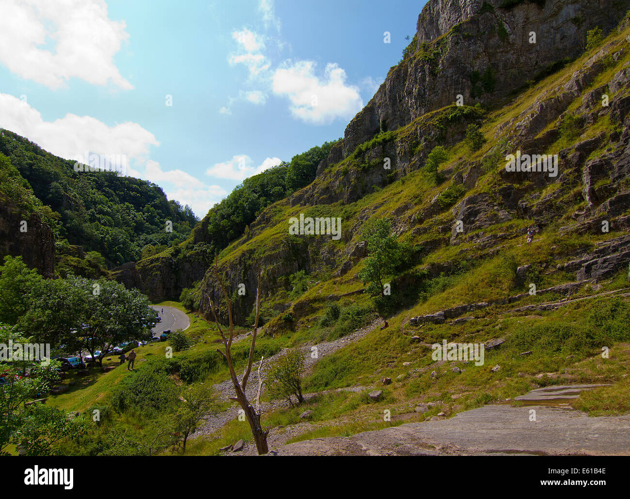 Summer's day in Cheddar Gorge Somerset England Stock Photo - Alamy