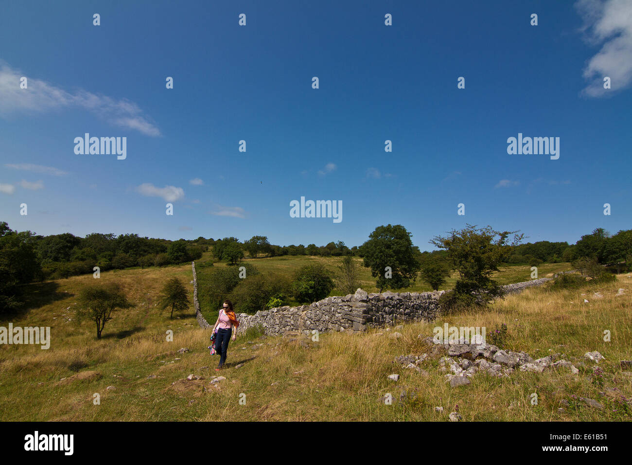 Summer's day in Cheddar Gorge Somerset England Stock Photo - Alamy