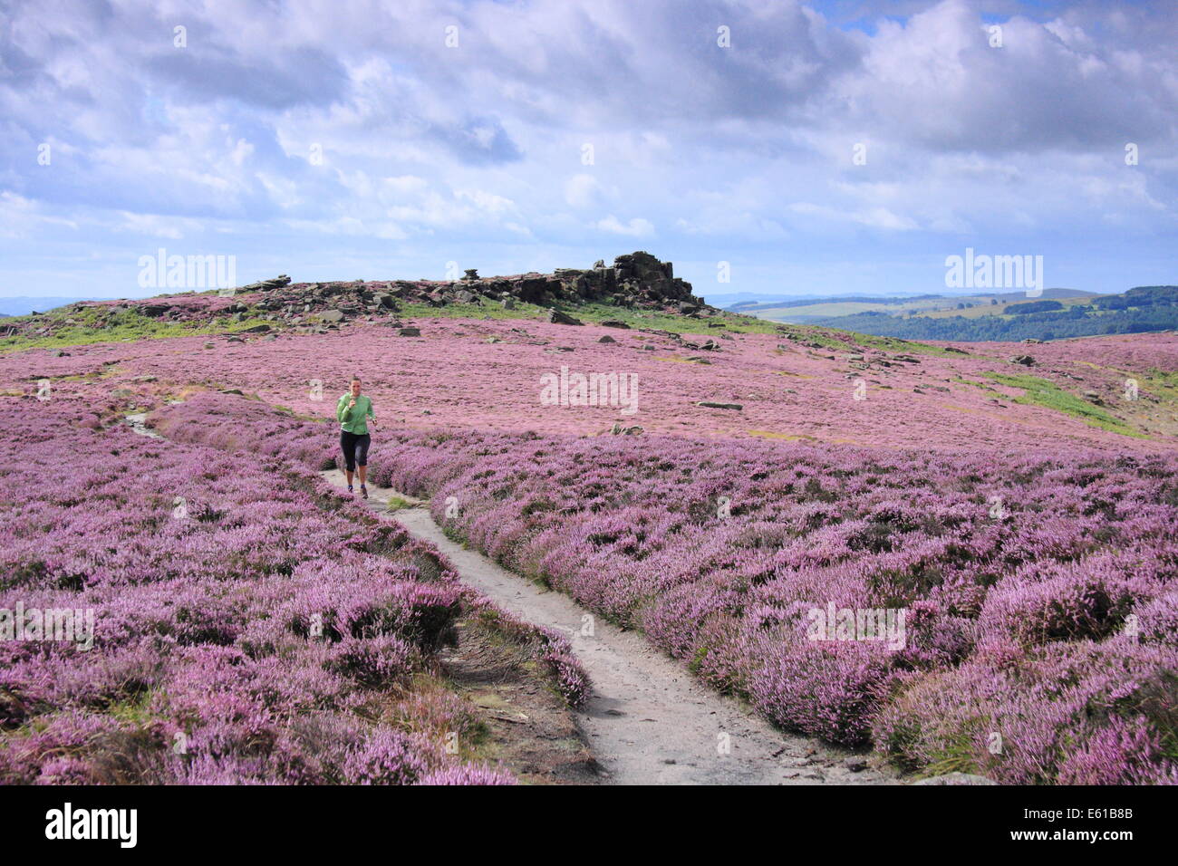 Peak District, Hathersage Moor, UK. 11th Aug, 2014. Weather: On a ...
