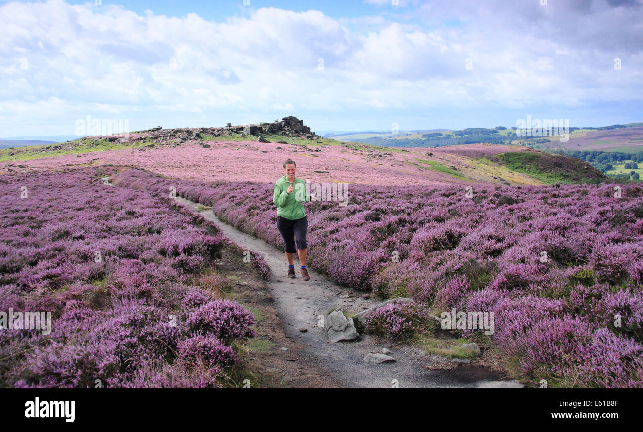 Peak District, Hathersage Moor, UK. 11th Aug, 2014. Weather: On a ...