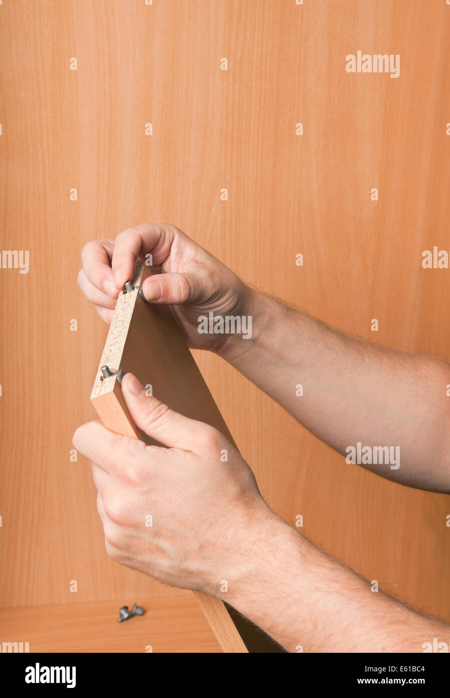 Carpenter mounting wooden furniture Stock Photo - Alamy