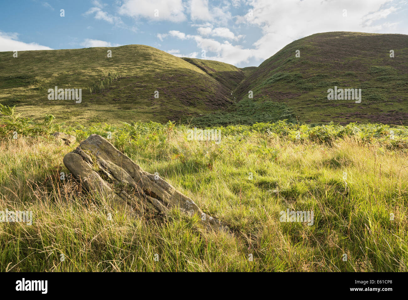 Snake pass road hi-res stock photography and images - Alamy