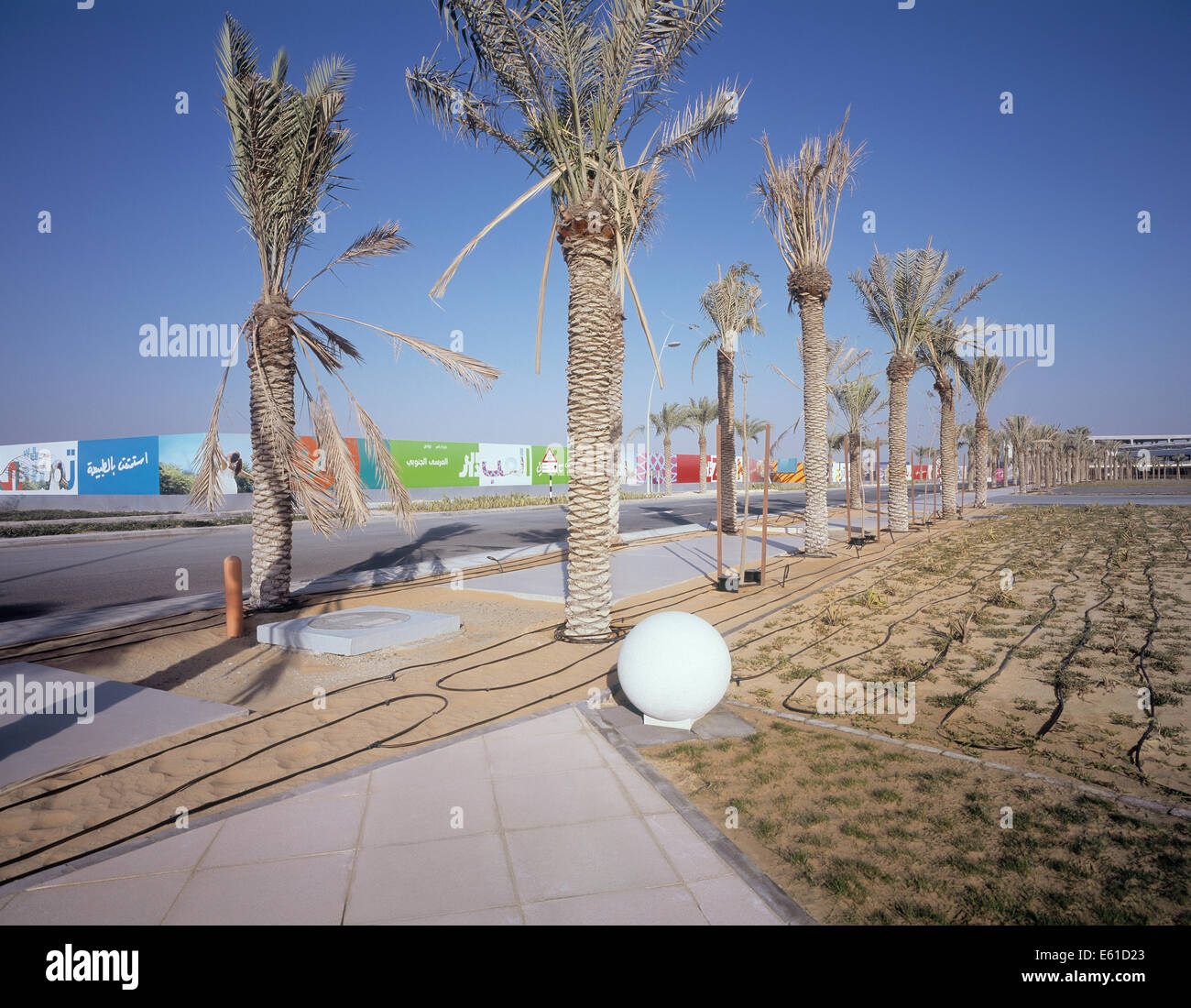 Middle east tree planting hi-res stock photography and images - Alamy