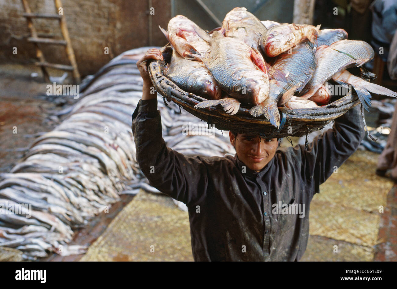 In the fish market, a boy is carrying fishes on his head ( Pakistan ...