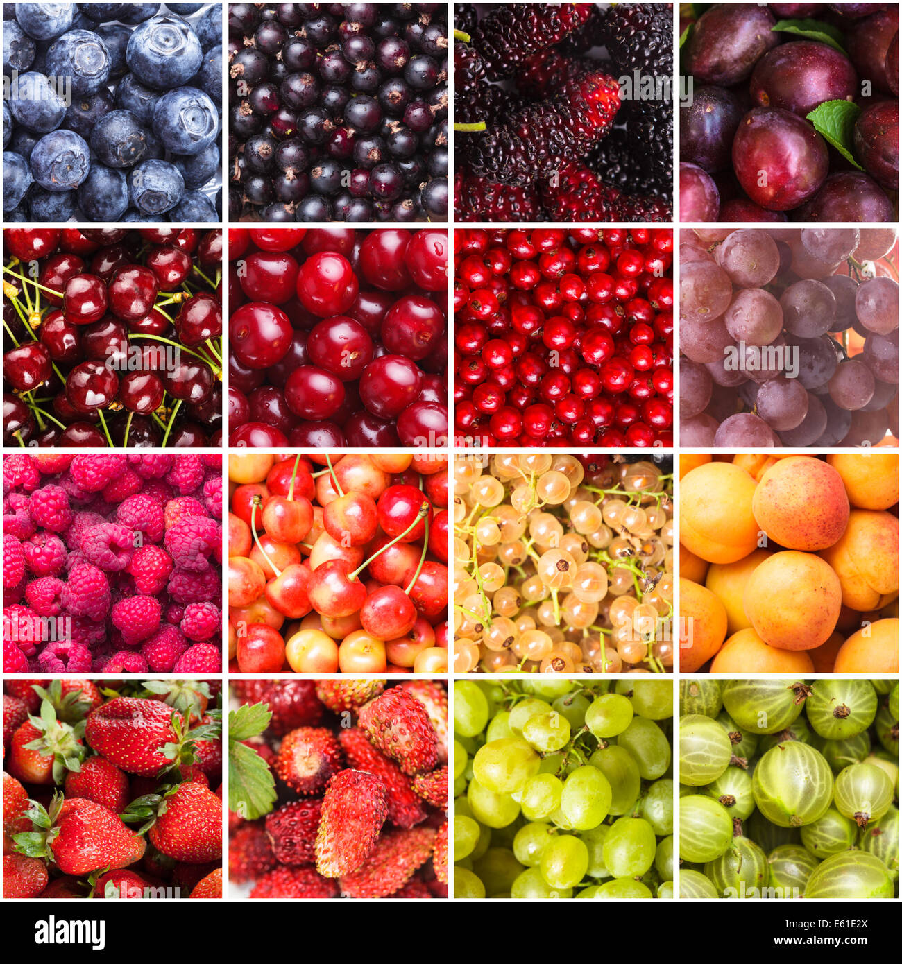 Berries - collage from sixteen photos as a background Stock Photo - Alamy