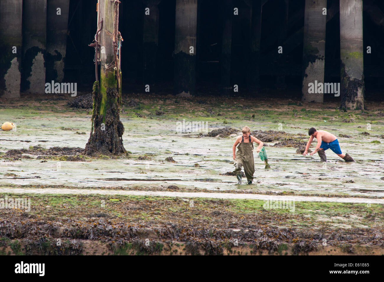Young boys stuck in the mud the Hard Portsmouth harbour Stock Photo - Alamy