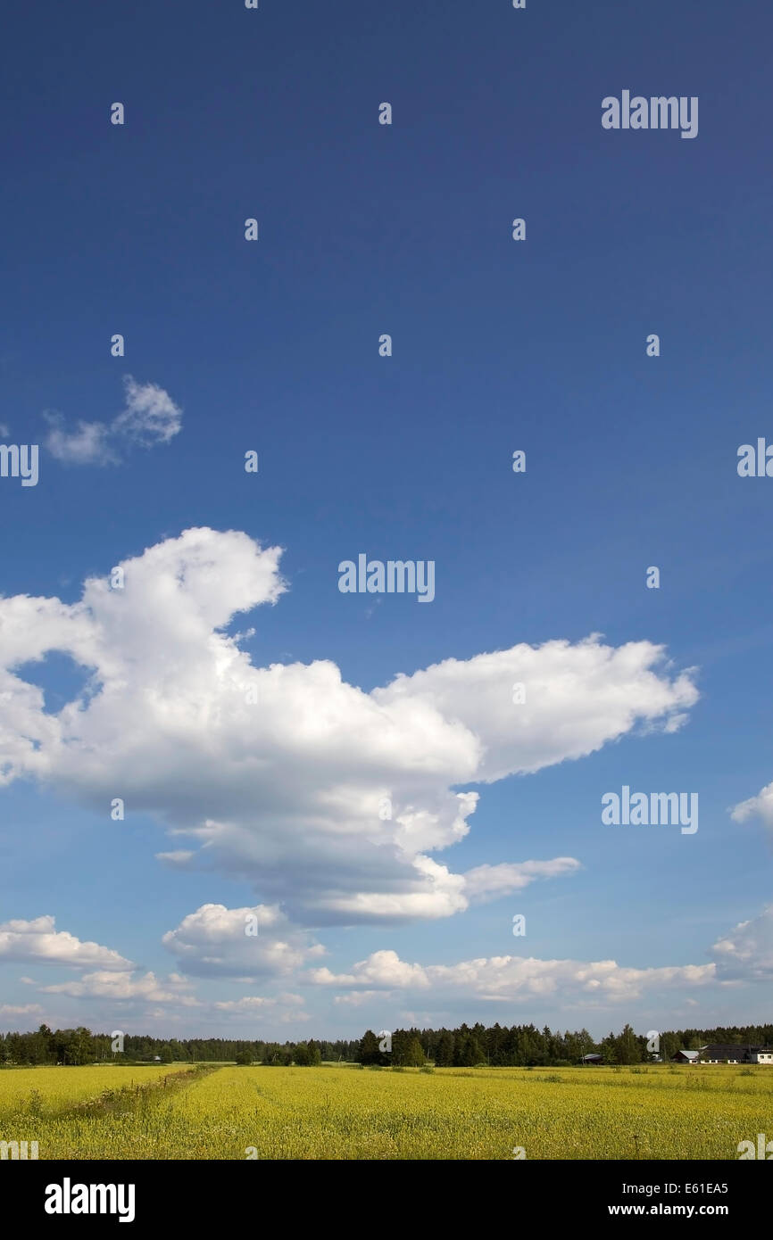 Joyful scenery hi-res stock photography and images - Alamy