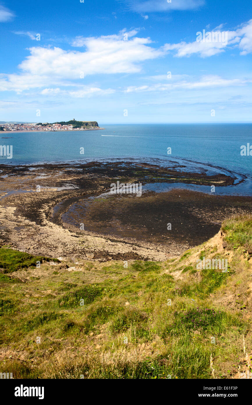 Summer blue sky and white clouds hi-res stock photography and images ...