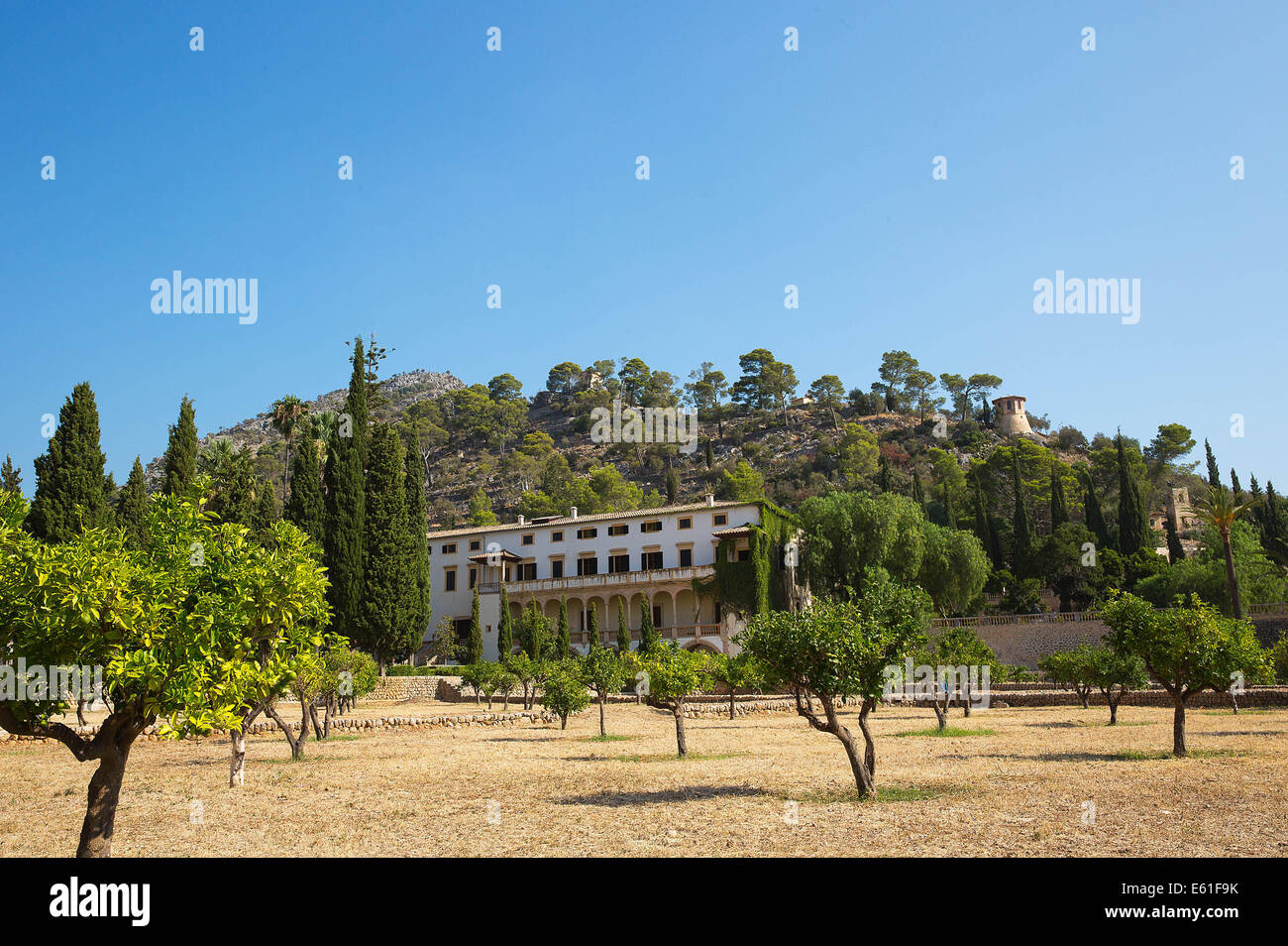 Raixa Mallorca High Resolution Stock Photography and Images - Alamy