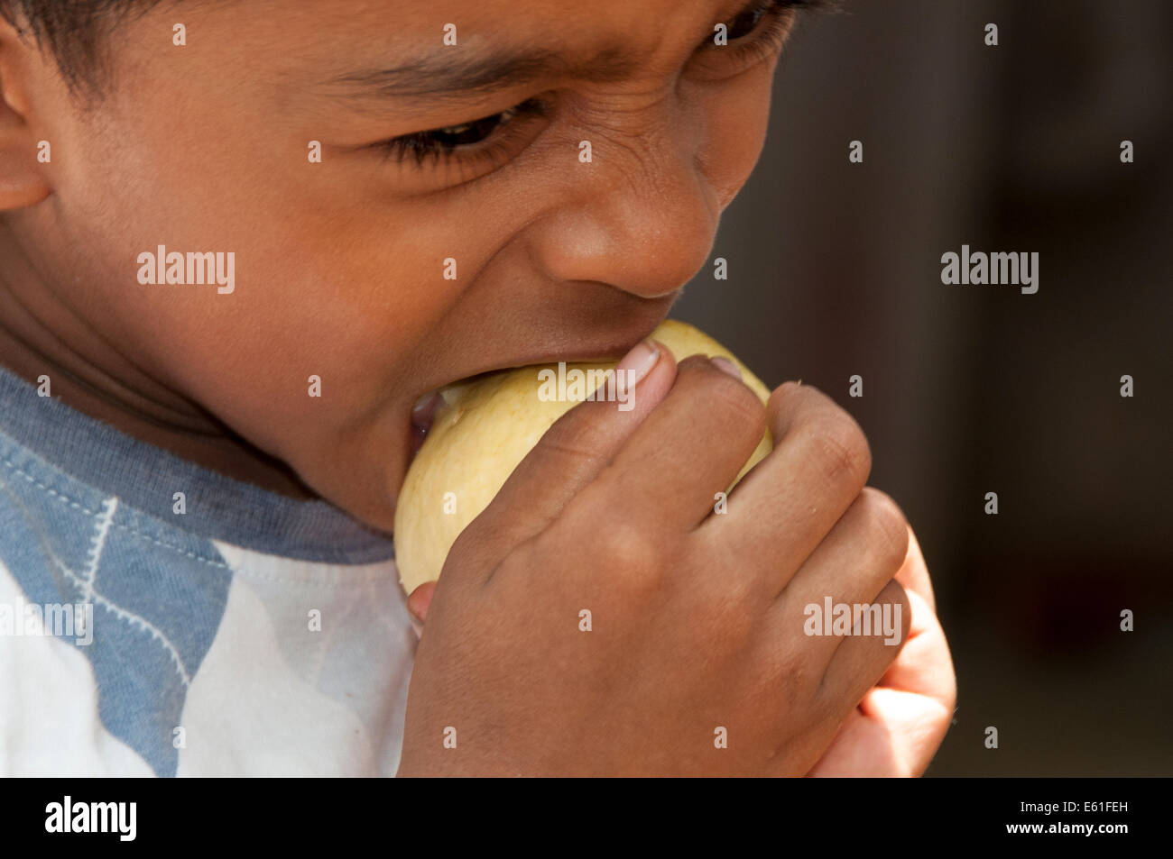 Guava Fruit High Resolution Stock Photography and Images - Alamy