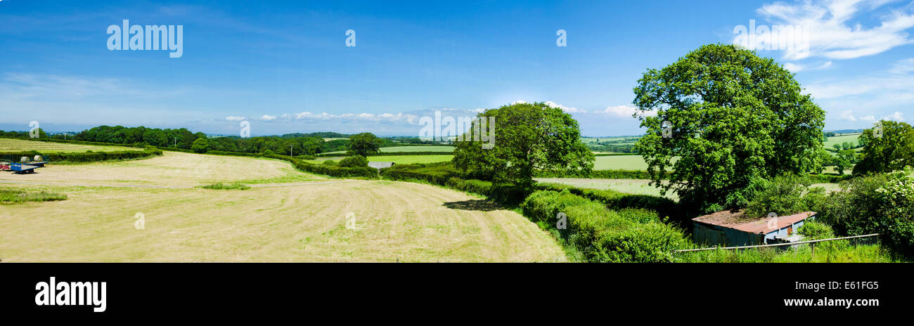 Summer in Devon, panorama of a typical Devon landscape Stock Photo - Alamy