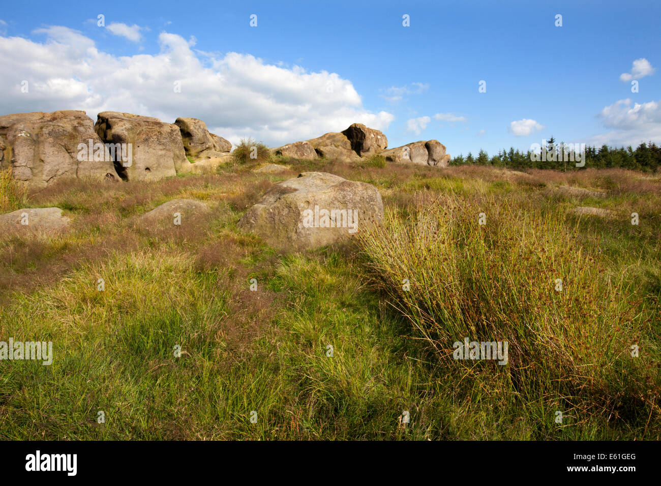 Harrogate Countryside High Resolution Stock Photography and Images - Alamy