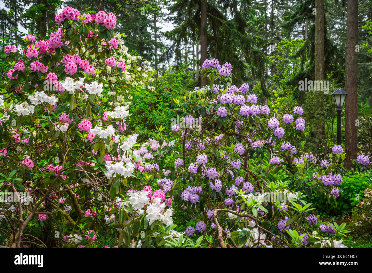 Eugene Park High Resolution Stock Photography and Images - Alamy